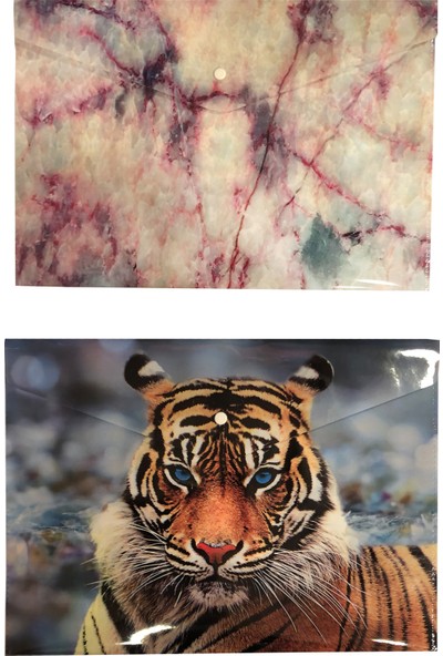 Fly Color Desenli Çıt Çıtlı Dosya 2'li Set