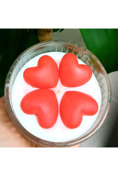 Şifalı Taşlar Organik Soya Mumu