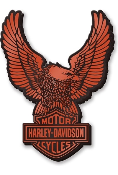 Harley-Davıdson Pın Multı Color Patch ve Pin