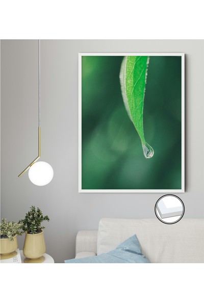 Yapraktaki Su Damlası Temalı Beyaz Çerçeve Tablo