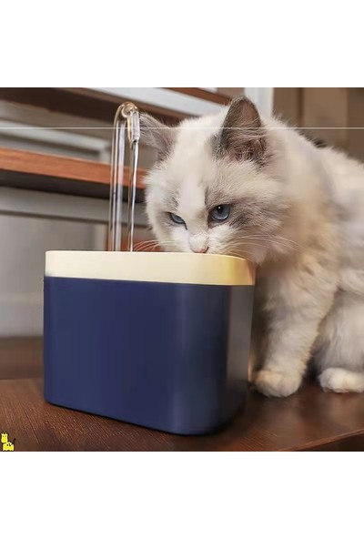 Mectime 1.5 Lt Otomatik Filtre USB Kedi Su Sebili (Yurt Dışından)