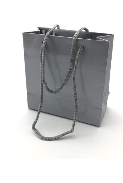 Erdal Ticaret Karton Çanta 17 x 26 cm 5'li Gümüş Erdal Ticaret Karton Çanta 17 x 26 cm 5'li Gümüş