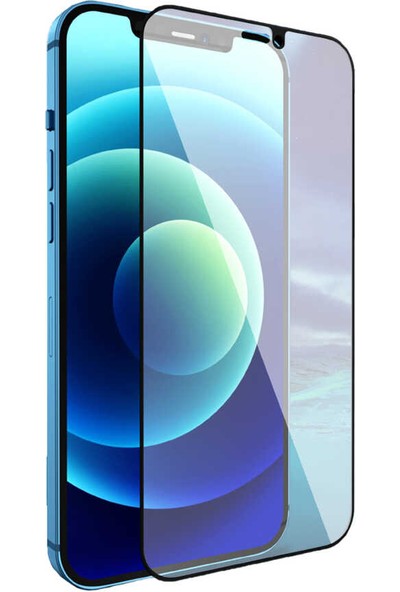 Apple iPhone 11 Pro Max Zore Rio Premium Parmak Izi Bırakmayan Gamer Cam Ekran Koruyucu