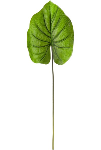 Klas Home Decor Pathos Yaprak Klas Home Decor Pathos Yaprak