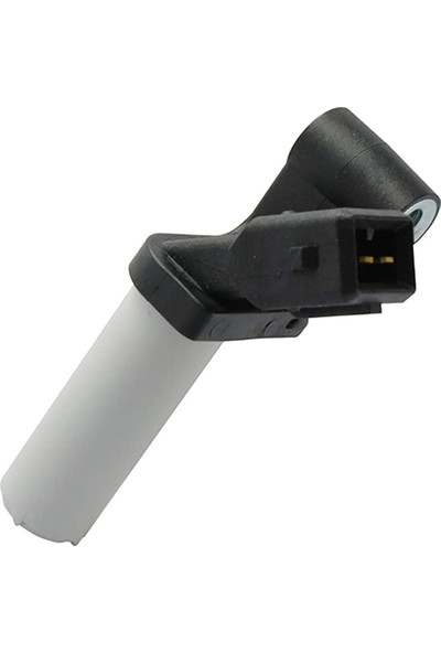 FAE Fiat Ducato 06/- Grank Sensör Fae