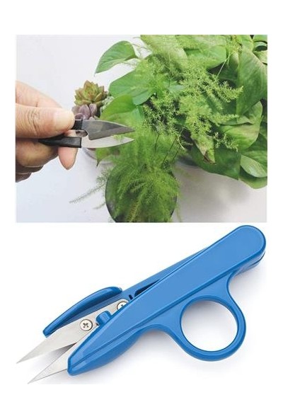 Transformacion Dizzo Çiçek Kesme Bakım Makası