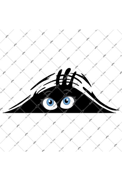 CAR17 Yari Reflektif Bagajdan Bakan Kadin Gozleri Etiketi CAR17 Yari Reflektif Bagajdan Bakan Kadin Gozleri Etiketi