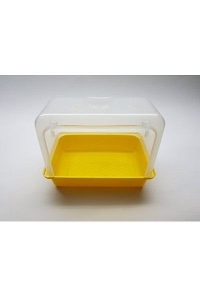 T-Pet Büyük Boy Banyoluk Renkli