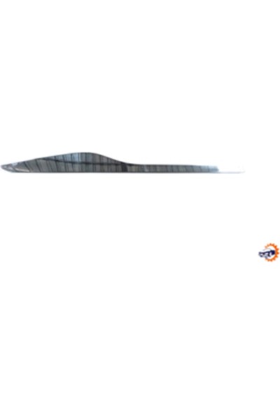 Meydan Renault Clıo - Hb - 13 / 16 Arka Kapı Bandı Nikelajı Sağ 828201839R Meydan Renault Clıo - Hb - 13 / 16 Arka Kapı Bandı Nikelajı Sağ 828201839R