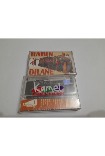 Rabin Dilane 4 Jelatinli Cam Baskı Rabin Dilane 4 Jelatinli Cam Baskı