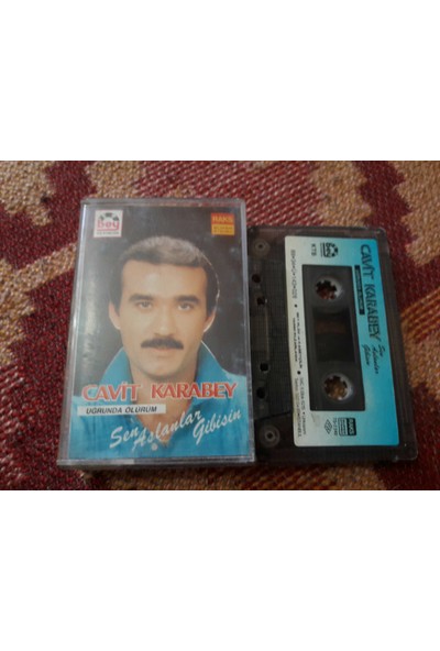 Cavit Karabey Sen Aslanlar Gibisin Kağıt Baskı Cavit Karabey Sen Aslanlar Gibisin Kağıt Baskı