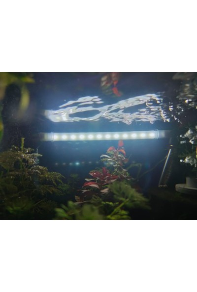 Orion Led Aquaslim Serisi - 60 cm Beyaz Akvaryum LED Lamba - Aydınlatma Orion Led Aquaslim Serisi - 60 cm Beyaz Akvaryum LED Lamba - Aydınlatma