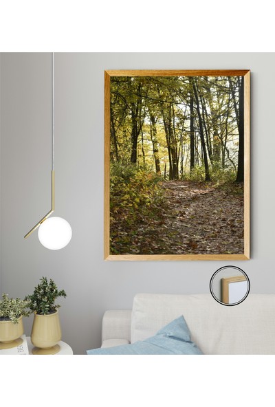 Orman Sonbahar Manzara Temalı Ahşap Çerçeve Tablo
