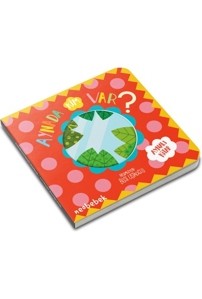 Aynada Kim Var? (Aynalı Kitap)