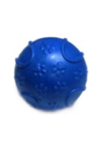 Rc Power Köpek Oyun ve Egzersiz Topu Küçük