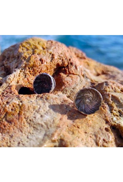 Multix Gümüş Kaplı Tıbbi Çelik Küpe K22