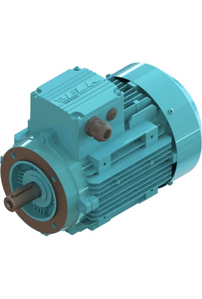 Elk 0.25 Kw 1/3 Hp 3000 D/D-B14 380 400 Volt Trifaze Ie2 B14 Ayaksız Flanşlı Elektrik Motoru Elk 0.25 Kw 1/3 Hp 3000 D/D-B14 380 400 Volt Trifaze Ie2 B14 Ayaksız Flanşlı Elektrik Motoru