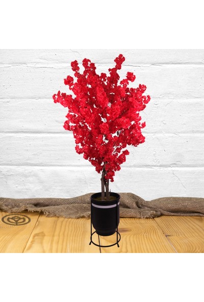 Modern Çiçek Metal Ferforje Saksıda Yapay Bahar Dalı Ağacı - 215CM - Kırmızı Modern Çiçek Metal Ferforje Saksıda Yapay Bahar Dalı Ağacı - 215CM - Kırmızı