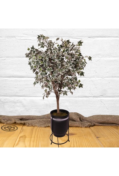 Modern Çiçek Metal Ferforje Saksıda Yapay Üzüm Yaprağı Ağacı - 205CM - Yeşil Modern Çiçek Metal Ferforje Saksıda Yapay Üzüm Yaprağı Ağacı - 205CM - Yeşil