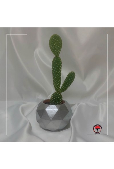 Beg Tasarım Gümüş Geometrik Kaktüs Ve Sukulent Saksı