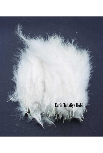 Elzem Tasarım Hediyelik Beyaz Kuş Tüyü 100 Adet Elzem Tasarım Hediyelik Beyaz Kuş Tüyü 100 Adet
