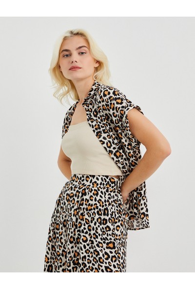 Paulmark B4943 Bayan Bluz