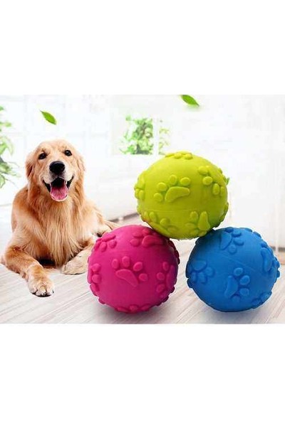 Uray Toptan Pati Desenli Köpek Isırma Topu At Getir Top 2'li Set Uray Toptan Pati Desenli Köpek Isırma Topu At Getir Top 2'li Set