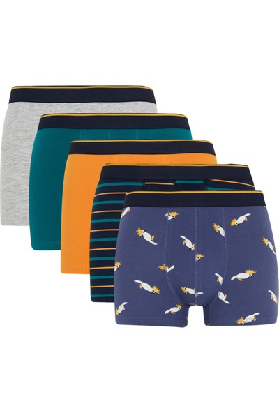 Defacto Fit Regular Fit 5li BOXER Y3180AZ22AU