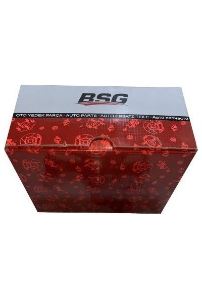 Bsg 60-109-045 Eksantrik Dislisi 60109045 (Wc987273)