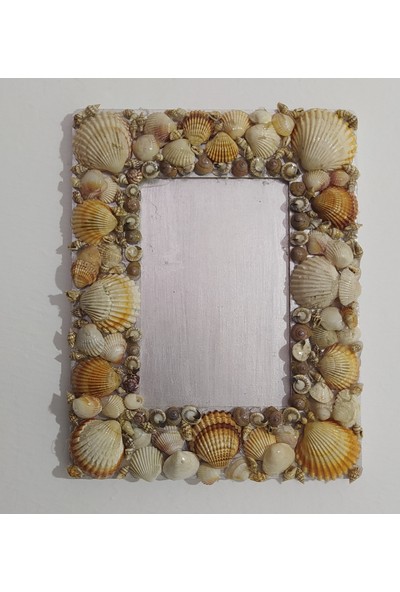 FKK Deniz Kabuklu Fotoğraf Çerçevesi