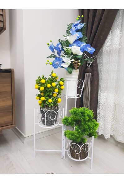 Poundy Trend Poundy 3lü Saksılık Çiçeklik Saksılık