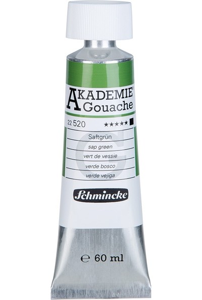 Schmincke Akademie Guaj Boya 60 ml 520 Sap Green