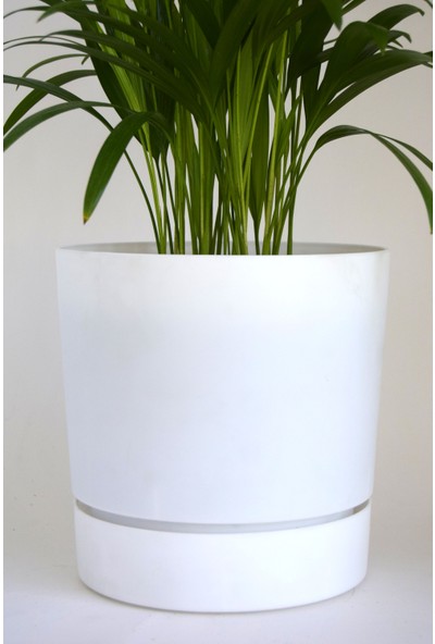 Leo Garden Begonya 5 Lt Saksı