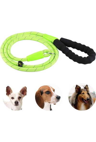Generic Pet Dog Training Tr Rope (Yurt Dışından) Generic Pet Dog Training Tr Rope (Yurt Dışından)