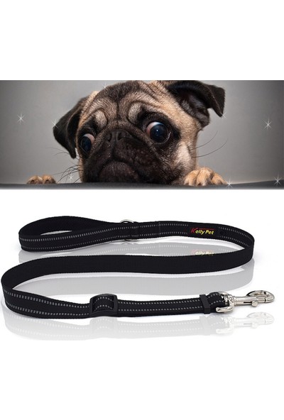 Generic Pet Dogs Nylon Night Reflective Tr Lead Leash - Siyah (Yurt Dışından)