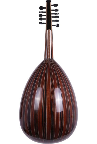 Ugar Abanoz Yapay Ağacı Türk Udu Ugar Abanoz Yapay Ağacı Türk Udu