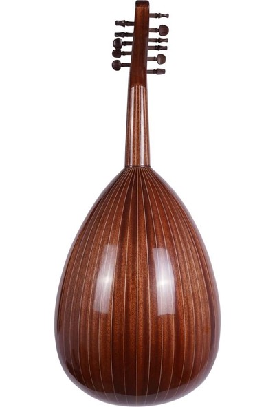 Ugar Maun Ağacı Türk Udu