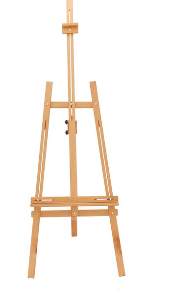 Trop Ahşap Şovale Kayın Ağacı 173Cm.