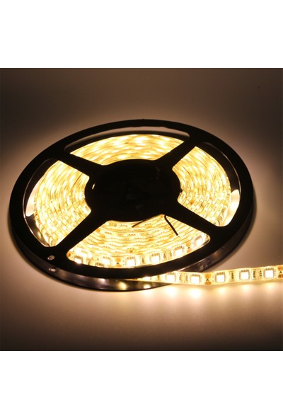 Cata Ct- 4488 Dış Mekan 3 Çipli Şerit Led Gün Işığı 5 Metre Cata Ct- 4488 Dış Mekan 3 Çipli Şerit Led Gün Işığı 5 Metre