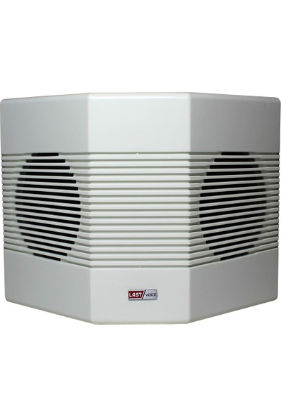 Lastvoice Dh-213T Çift Yönlü Duvar Hoparlörü 100 Watt Lastvoice Dh-213T Çift Yönlü Duvar Hoparlörü 100 Watt