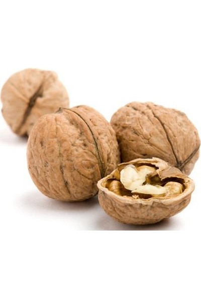 Attargani Kabuklu 1. Sınıf İnce Kabuklu Ceviz 500 gr Attargani Kabuklu 1. Sınıf İnce Kabuklu Ceviz 500 gr