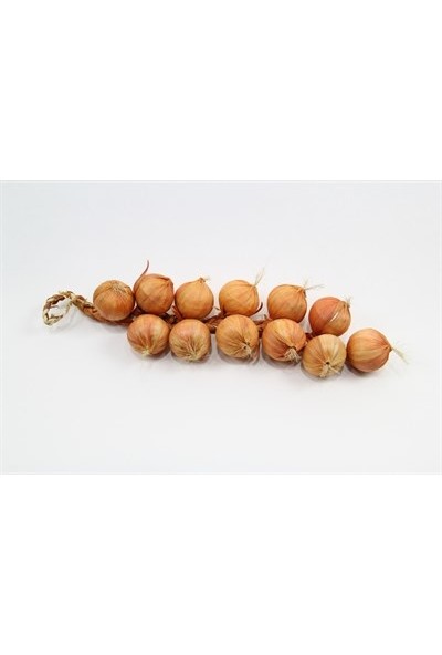 Dekorsende Yapay Meyve Soğan 12 Li