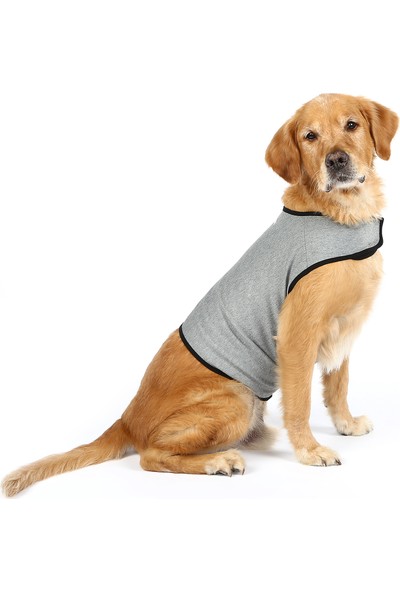 SherlockPets Pet Kundağı Büyük Irk