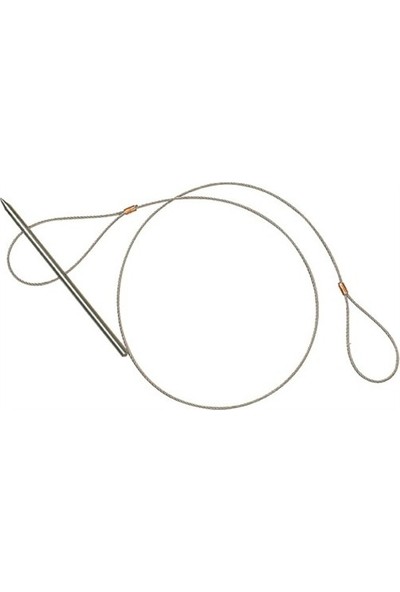 Assınıpper Balık Dizgisi