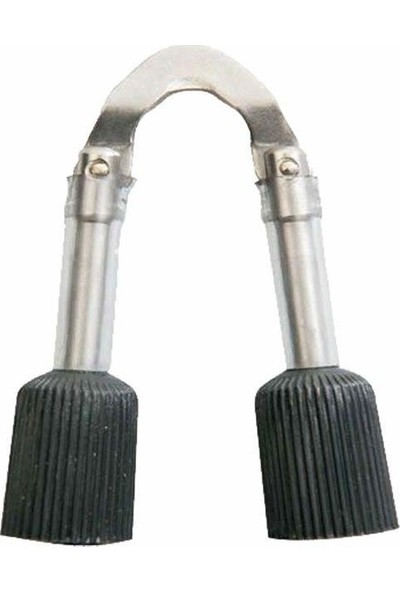 Assınıpper Palamut