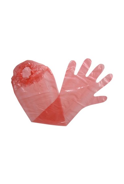 Rektal Eldiven Lastikli (50 Adet)