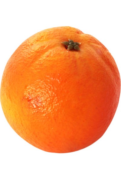 Euro Flora Yapay Meyve Portakal 9 Cm