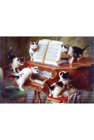 Puzz Yavru Kedilerin Resitali 1000 Parça Puzzle Puzz Yavru Kedilerin Resitali 1000 Parça Puzzle