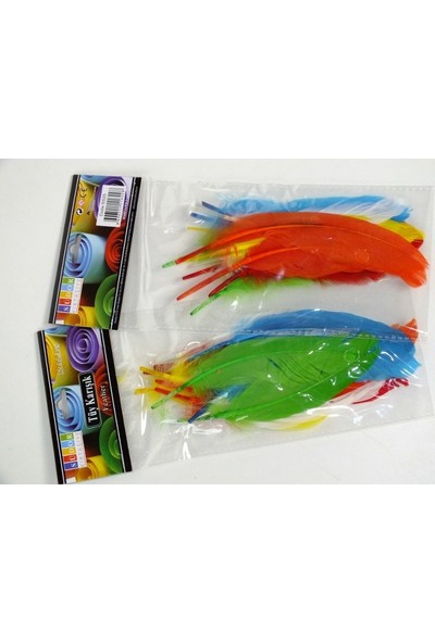 Südor Kuş (Kaz) Tüyü Renkli 12'li