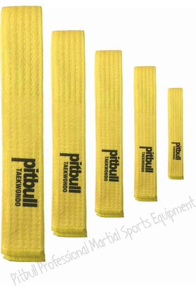 Pitbull Sarı Taekwondo Kuşağı